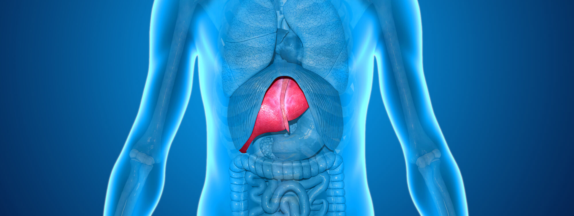 Cirrose Hepática - Blog Hospital Pilar